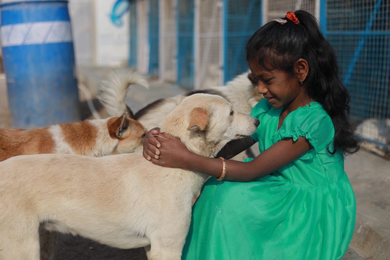 Donate – Stray Animal Foundation India